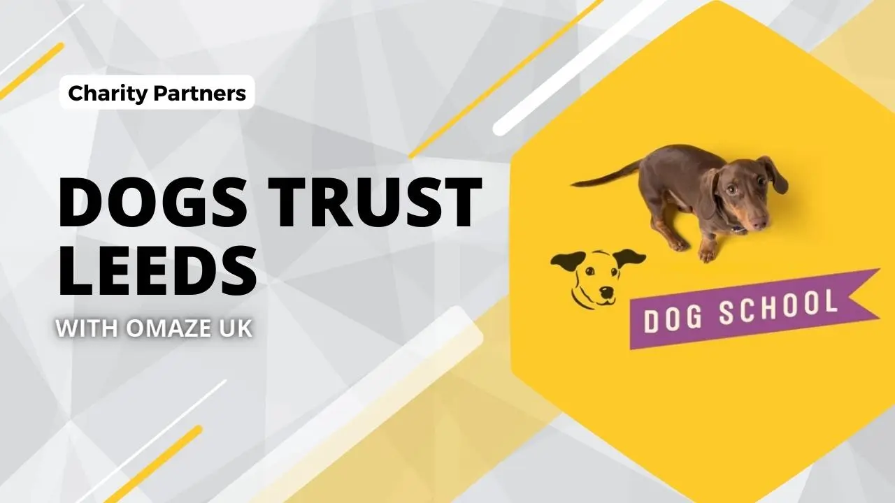 Dogs Trust Leeds and Omaze UK: Decoding An Important Charity Partnership
